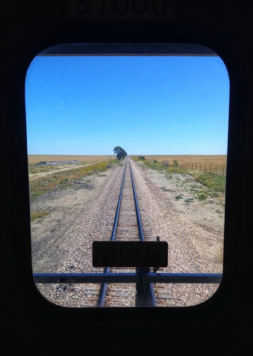 AASHTO Journal - Conventional Rail Key to High-Speed Rail, Amtrak CEO Says